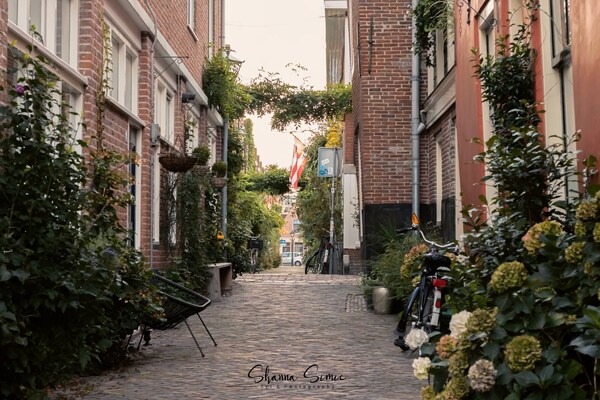 Penthouse Trendy Inside The Historical Old City Of Alkmaar! - Egmond aan Zee