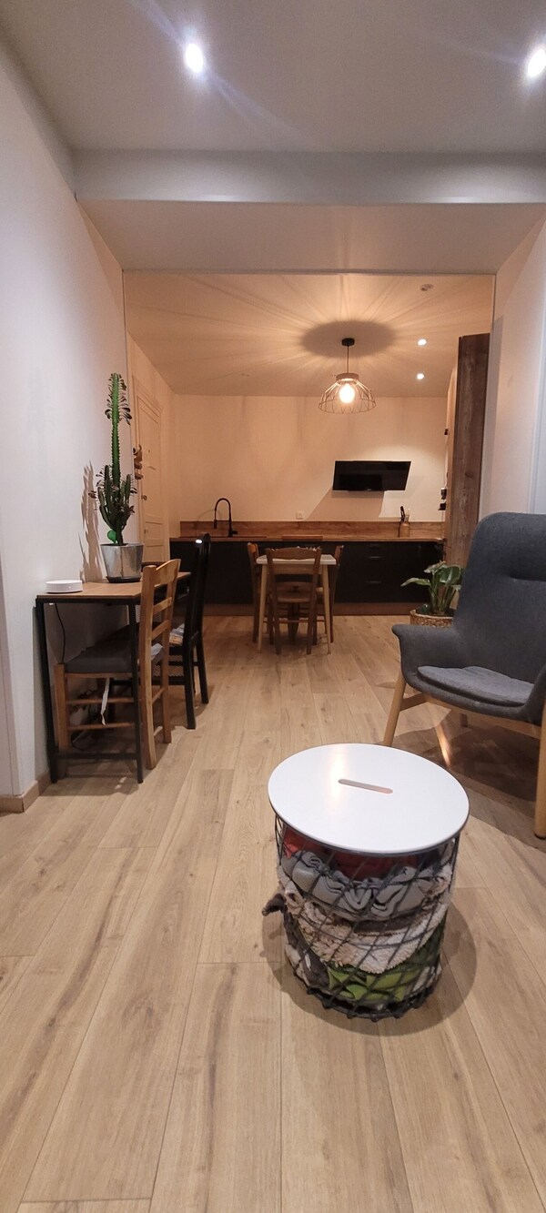 2-bedroom Apartment With Fully Equipped Private Garden, Tourist Area And Park - Nancy