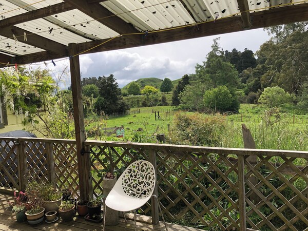 Tranquility In Rangiwahia. Bush Walks, Tramp The Ruahines And Rangiwahia Hut. - New Zealand