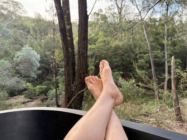 Enjoy Peace And Birdsong In Australian Bush Setting In Architectural Home. - Camden