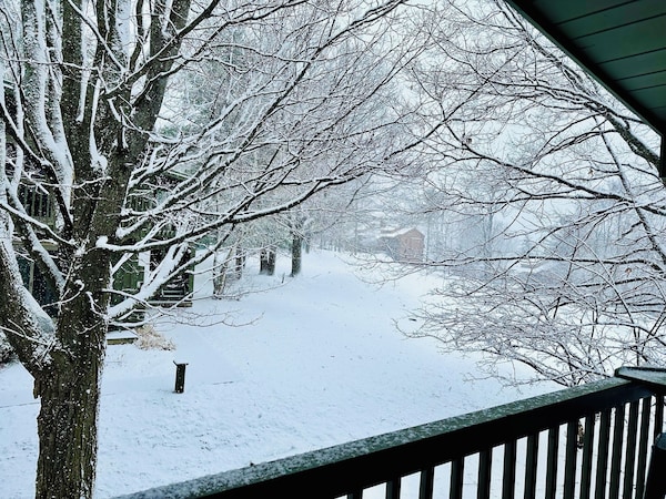 Cozy 1-bedroom Studio In Bellaire-skiing, Tubing, Golf, Lakes!\n\n - Torch Lake, MI
