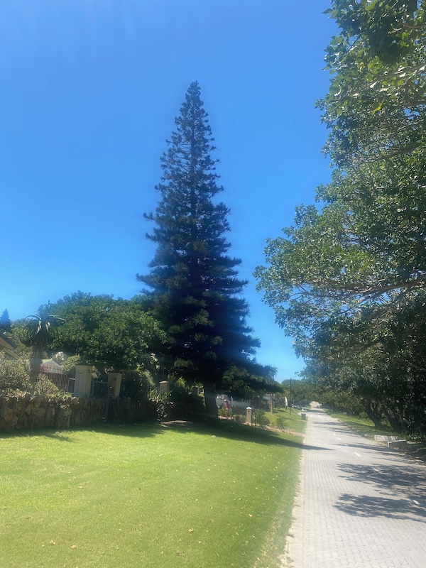 Beautiful, Charming Property For 6 To 8 People. Pool. Approx. 400m To The Golf Course - Port Alfred
