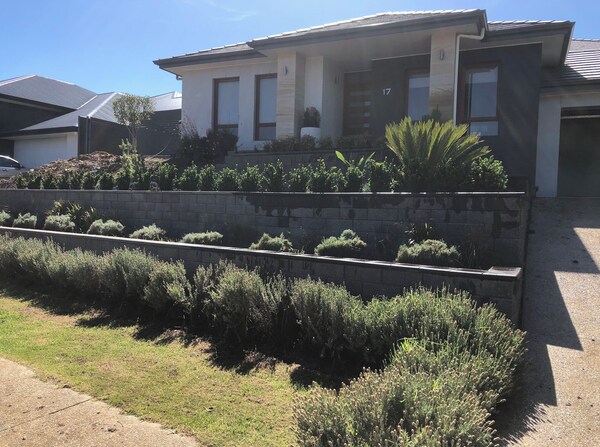 Delightful Family House Opposite A Reserve And 20 Mins To The City And Beaches. - Adelaide
