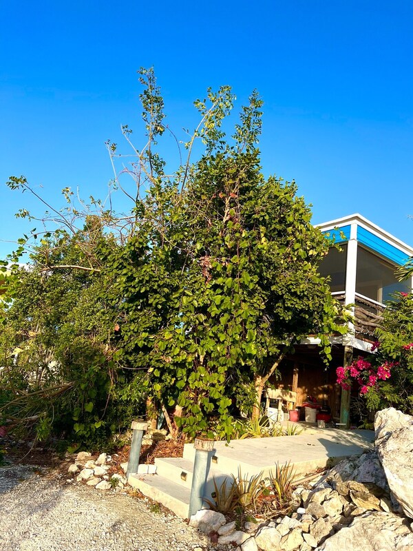 Atlantic Blue Cottages # 1 - Caribbean