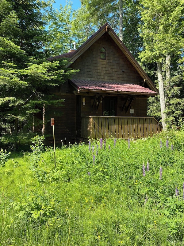 Aspen Chalet- Overlooks Brickyard Creek In Bayfield - Bayfield Apple Festival