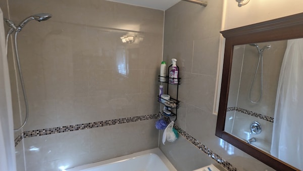 Nice And Quiet Place Close To Bramalea Center And Shopping Center. - Brampton