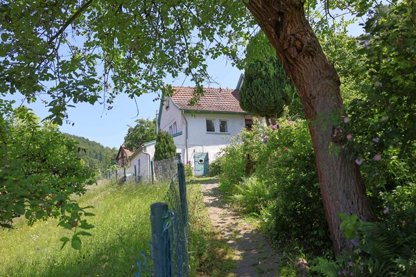 Haus Im Grünen  Urlaub Mit Hund Und Natur Pur Im Thüringer Wald - Ruhla