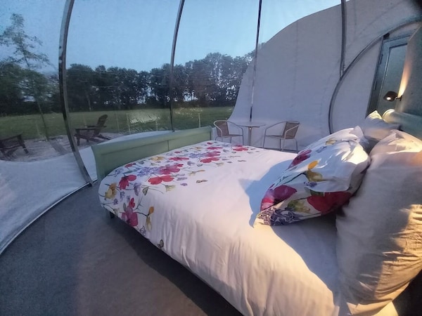 Sleep Under The Starry Night Sky In Our "Bulle Des Alpagas. - Cher