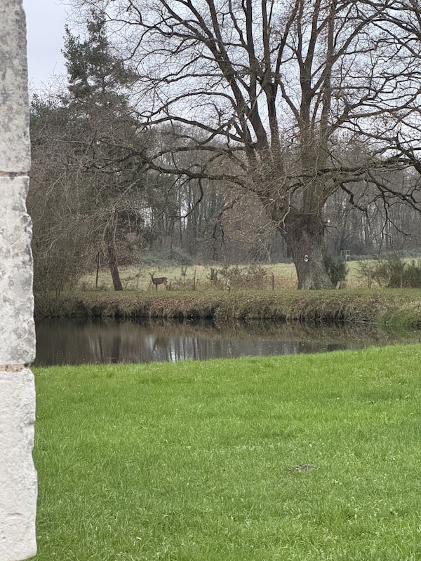 La Grange D'esusterra - Piscine - 6 Pers - Rêve Au - Sarthe