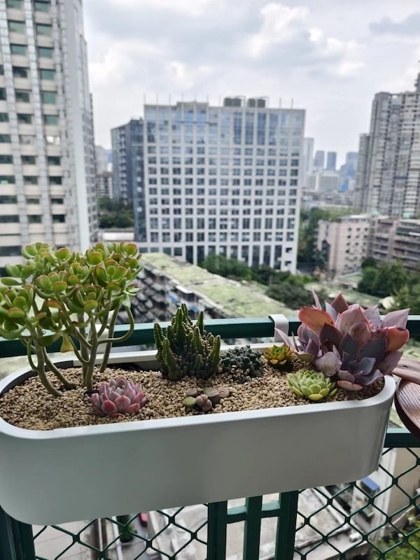 L&a 觀亭 08 Cozy Apartment In Chengdu. Next To The Famous City Scenic Point. - Chengdu