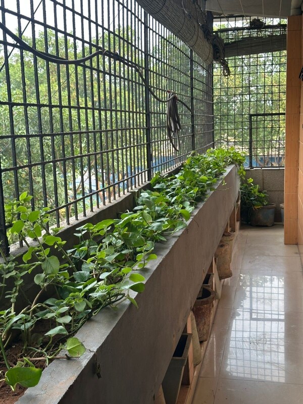 Charming 2-bedroom Apartment With Wifi, Ac In Serene Visakhapatnam Beach - Visakhapatnam