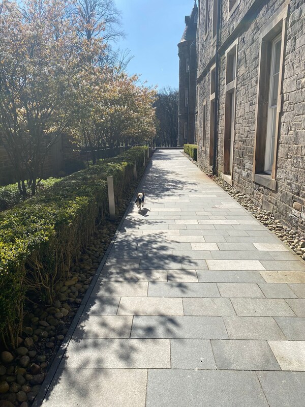 Executive Level Quartermile Two Bedroom Apartment - Extremely Central - The University of Edinburgh