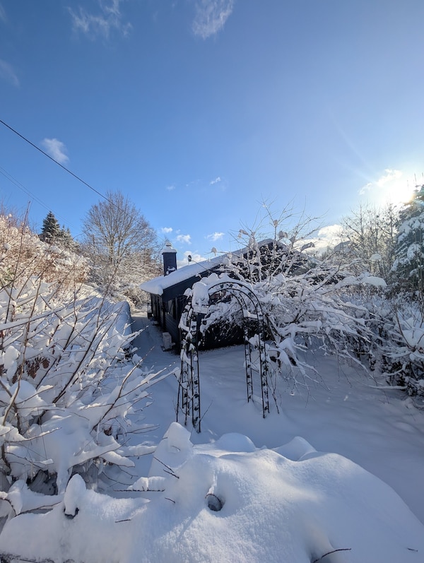 Ferienhaus Für 4 Gäste Mit 70m² In Willingen (Upland) (270569) - Korbach