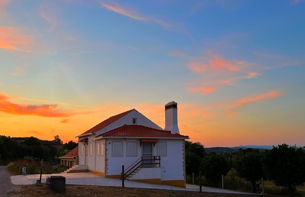 A Bela Casa Dos Pássaros - Ferreira do Zêzere