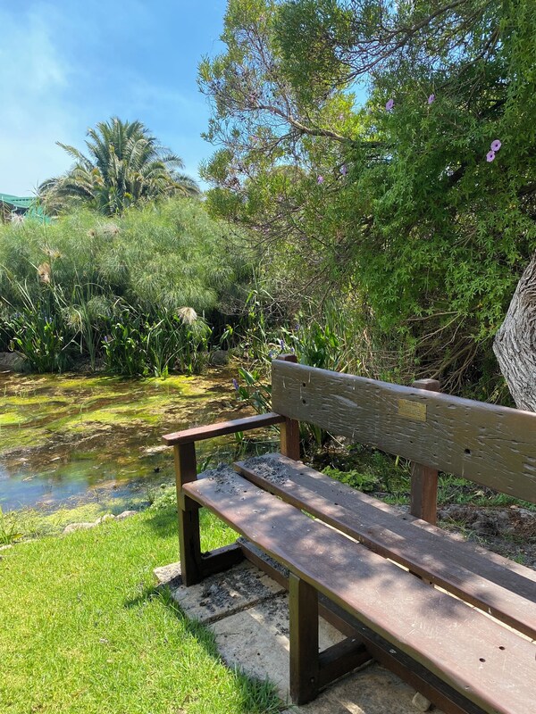 Spacious Family Beach House In Pringle Bay With Huge Garden Next To A Stream - Pringle Bay