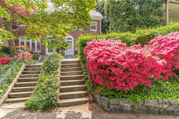 Dc Guest Suite Walkable, Parking, Pets Welcome - Washington, D.C.