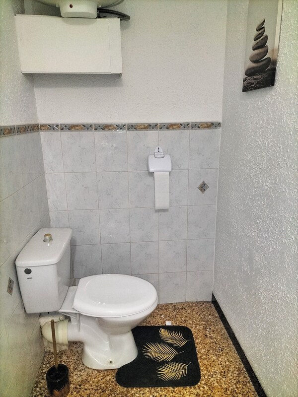 Appartement Le Petit Paradis Ou Les Animaux De Compagnie Sont Acceptés :) - La Salvetat-sur-Agout