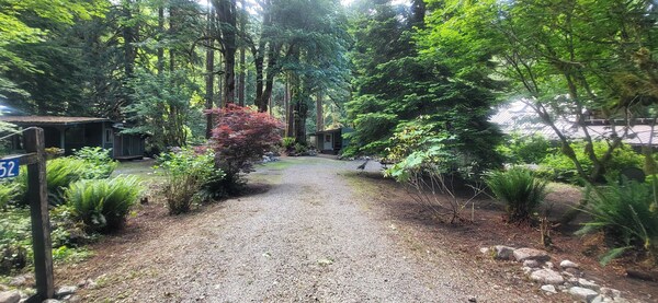 Newly Remodeled Off Grid River Cabin With Full Services Including Wifi - Cyclone Lake, WA