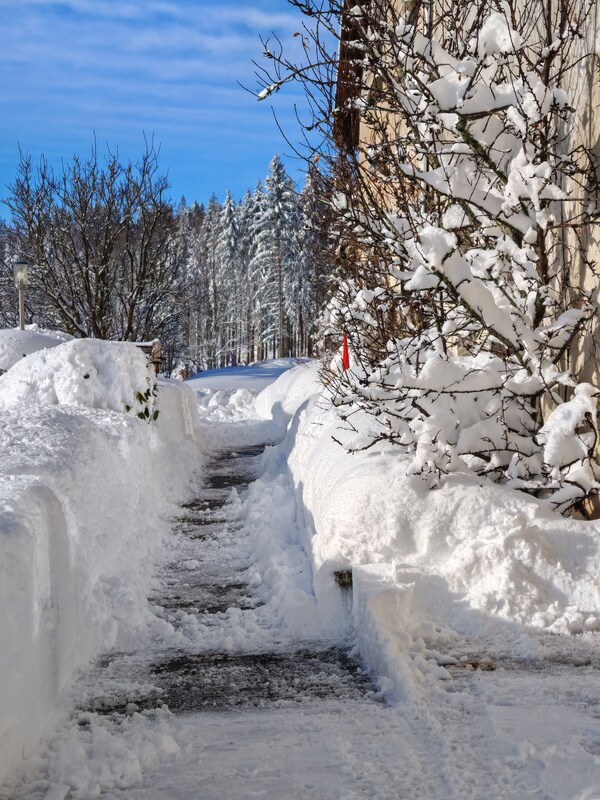 Gîte Des Hauts Sapins 4* - 8 Pers. An Ideal Location And A Soothing Atmosphere. - Sainte-Croix
