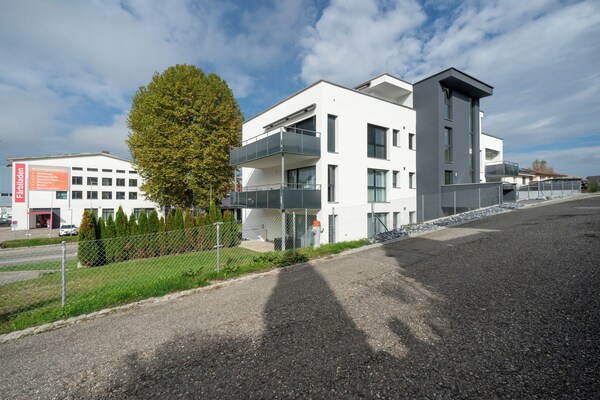 Modern Swiss Apt | Spacious Garden + Parking + Hi-speed Wifi - Aarau