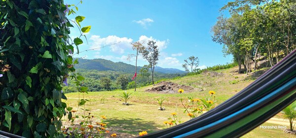 The Ruins-new Charming 1-br House-onsite Untouched Mayan Ruin-organic Garden - Melchor de Mencos