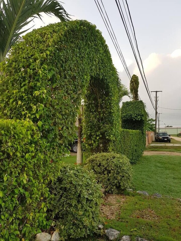 Capital Escape - Charming Bungalow With Wifi & Ac - Belmopán