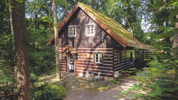Cozy And Comfortable Forest House With Balcony In Beautiful Location - Baarn