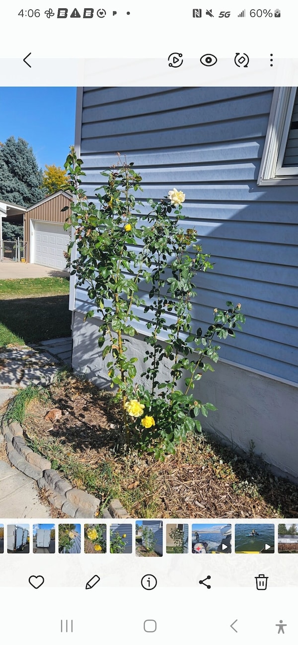 55%off For 29day Booking Charming Light Blue 4 Bedrooms 2 Baths House Littleton - Highlands Ranch, CO