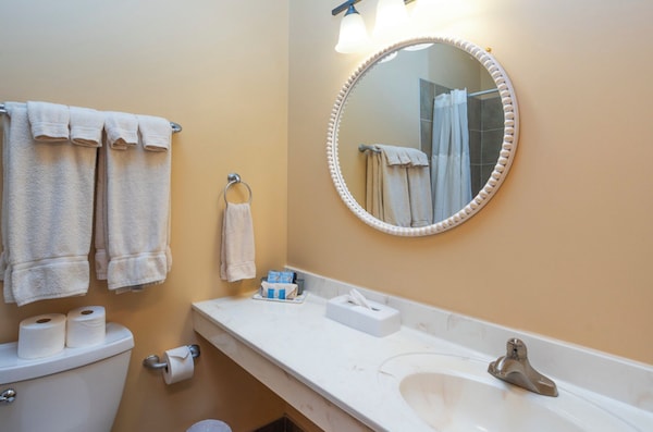 A Suite Place .5 Mi From Beach - 密西根市