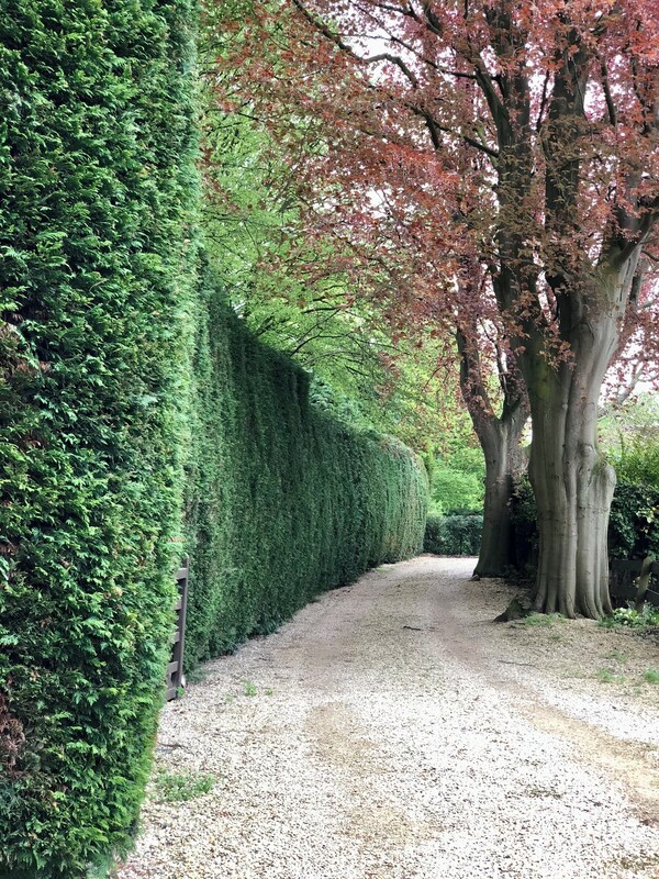 Seclusion Amongst The Trees - Wiltshire