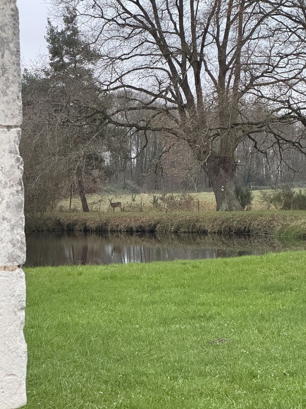 Le Chalet D'esusterra - 4pers - Rêve Au Mans - Touraine