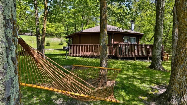 Scenic Lakeside Octagon - Lake Views & Rustic Wood Stove - Minnesota