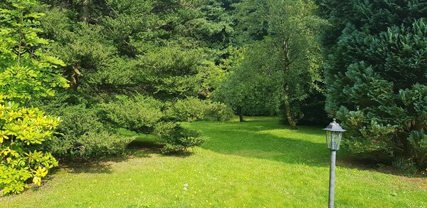 Ferienwohnungen Waldblick, Wohnung 2 - Clausthal-Zellerfeld