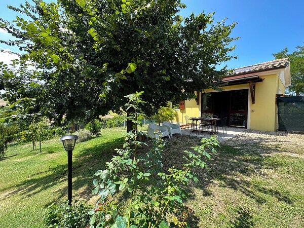 La Mimosa Sulle Colline Di Senigallia Con Piscina Y Aria Condicionada - Senigallia