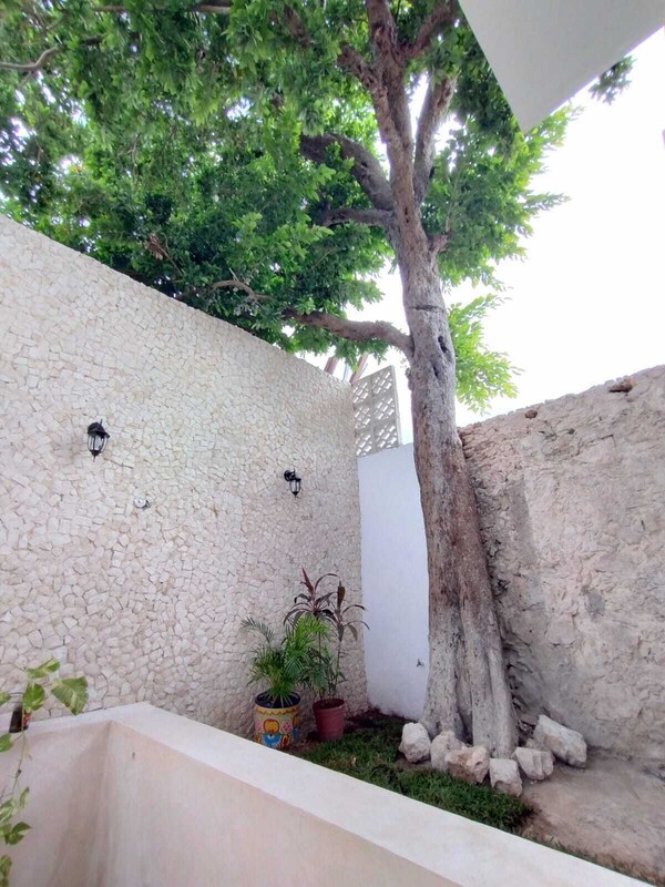 House In Downtown Merida Yucatan Just A Few Steps From Paseo De Montejo - Mérida