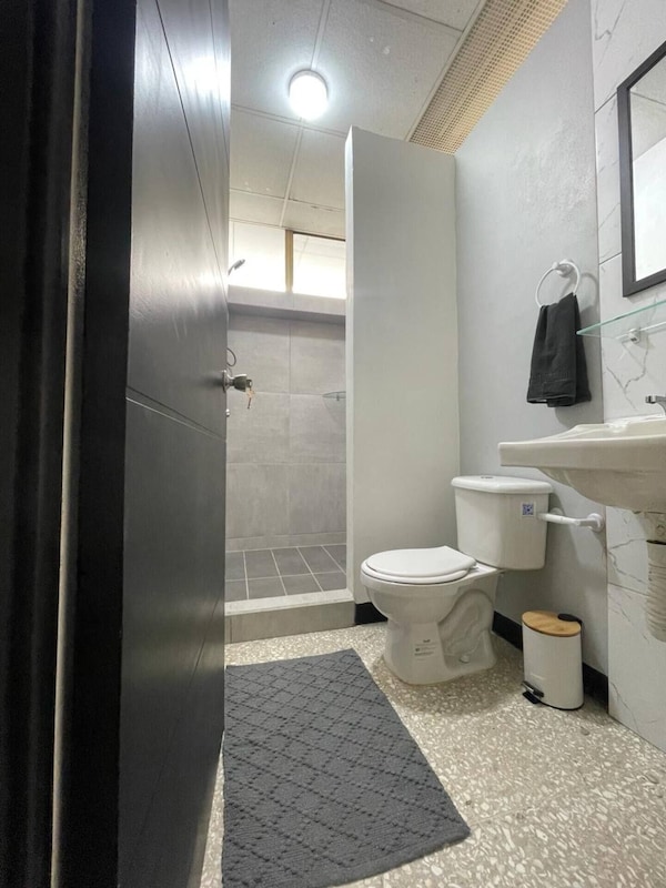 Renovated Downtown Apt./wi-fi - San José