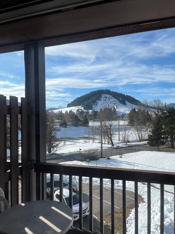 Appartement En Duplex Dans Une Résidence Calme, Proche Du Village. - Autrans