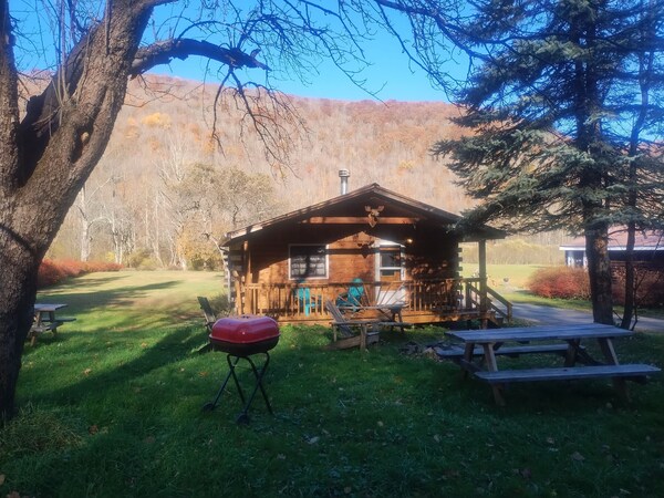 Cold Spring Lodge - Cabin 5 - Phoenicia, NY