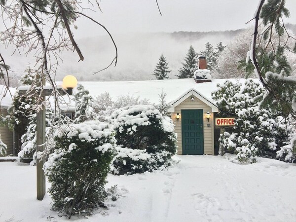 Cold Spring Lodge - Hotel D - Phoenicia, NY