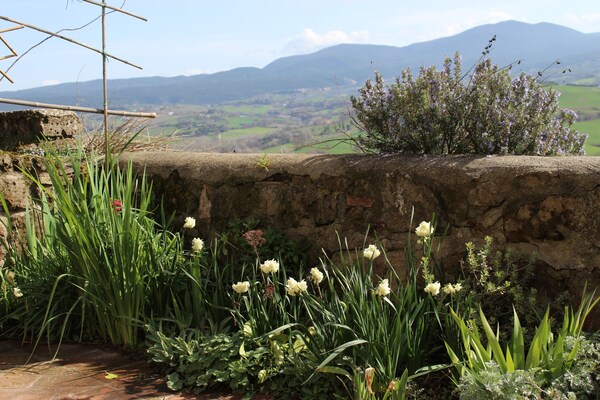 Charming Cottage In Hilltop Town With Garden And Stunning Views - 
