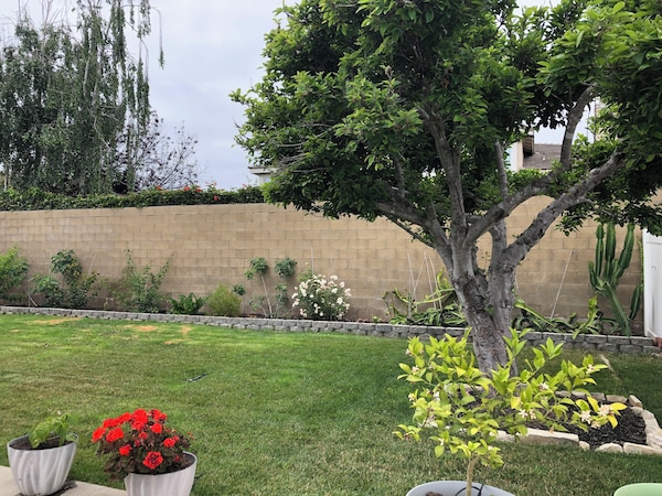 Spacious 4-bedroom House In Charming Oxnard - Oxnard, CA