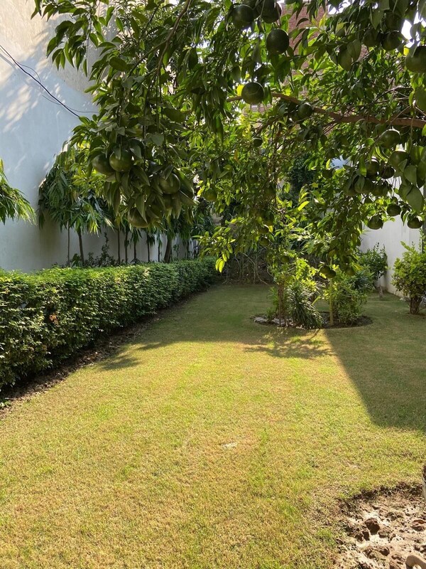 Nri Green Villa( Beautiful House Available For Air Bnb Amritsar Punjab) - Amritsar