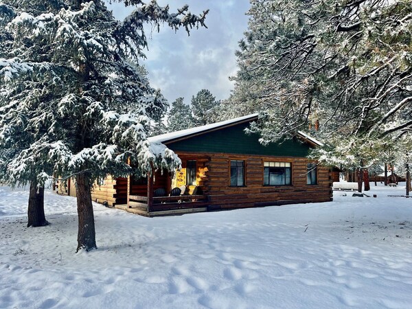 Cozy And Family Friendly 3 Bedroom Cabin On A 3/4-acre Lot - South Fork, CO