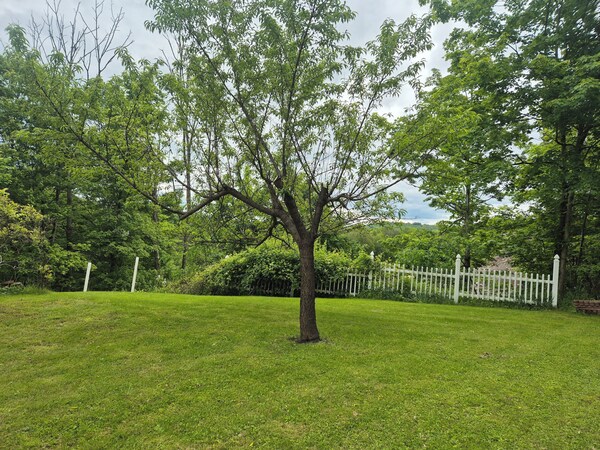 Charming 4-bedroom Home With Ac And Wifi Close To Downtown Historic Honesdale - Waymart, PA