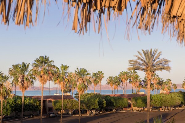 7bdrm  Boutique Hotel With Ac, Wifi , Heated Pool Convenient Location. - Loreto