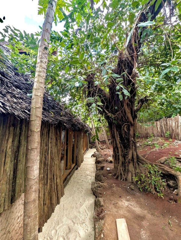 Traditional Charming 4-bedroom House In Zanzibar With Wifi And Garden - Sansibar