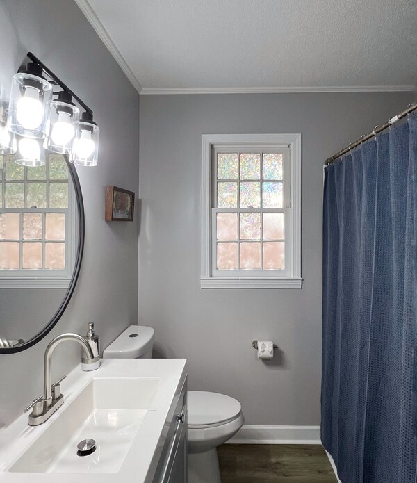 Apt. Near Downtown - 2br/1ba/3be - Greenville, SC
