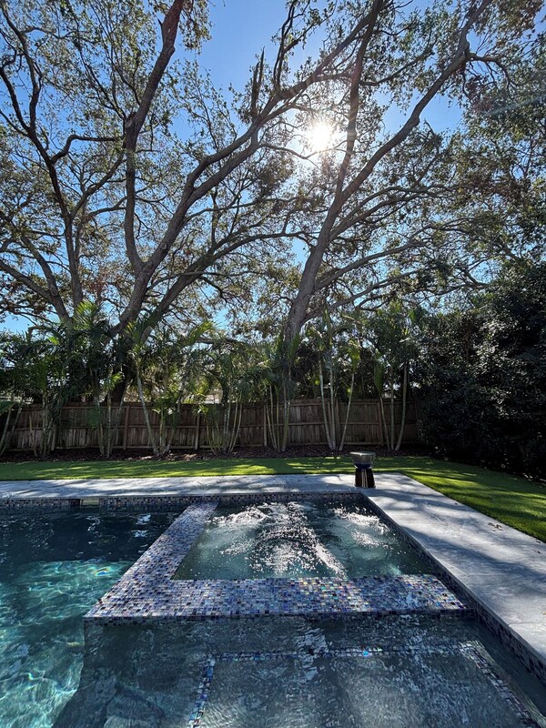 Shaded Heated Luxury Salt-water Pool & Hot Tub - Tampa, FL