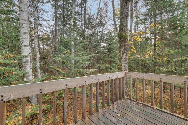 Harbor Cove #11, Near Skiing, Golf & Downtown - Petoskey, MI