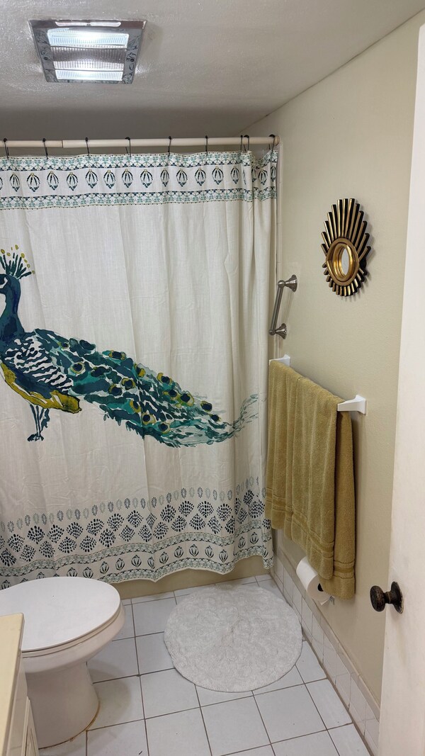 Charming 1-bedroom Apartment In Fabulous Christiansted With Wifi, Ac - Saint Croix